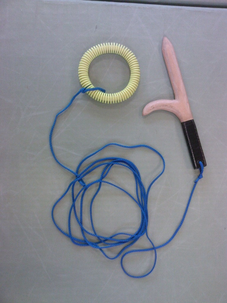 Togakure Ryû Seminar mit Michael Wedekind Shihan in Belm - bujinkan ...