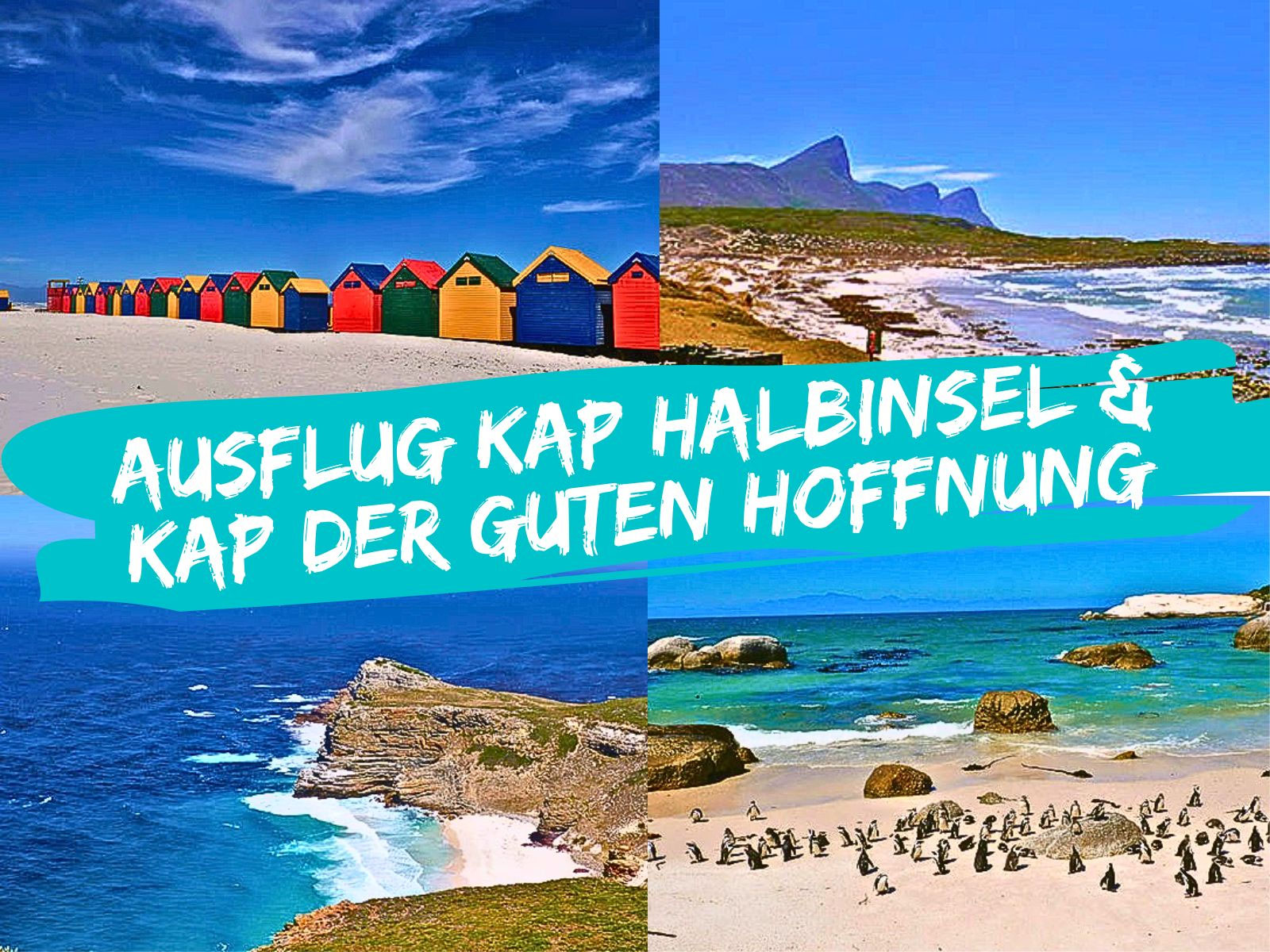 Kap Halbinsel Tagestour: Kap der guten Hoffnung & Pinguine Ausflug - Der Reise Blog
