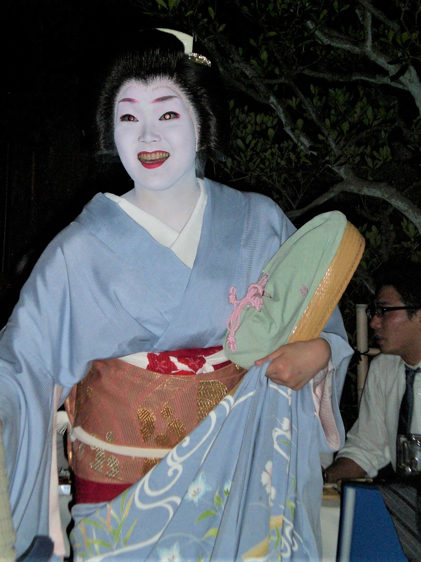 Was ist eine Geisha? Bedeutung der Geisha Kultur in Japan - Der Reise Blog