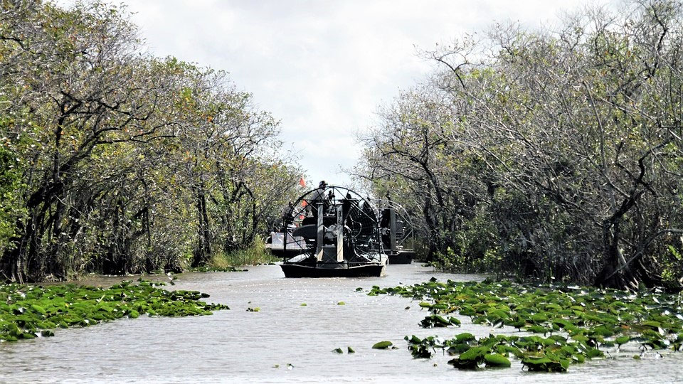 Everglades Nationalpark: Sehenswürdigkeiten & Reisetipps - Der Reise Blog