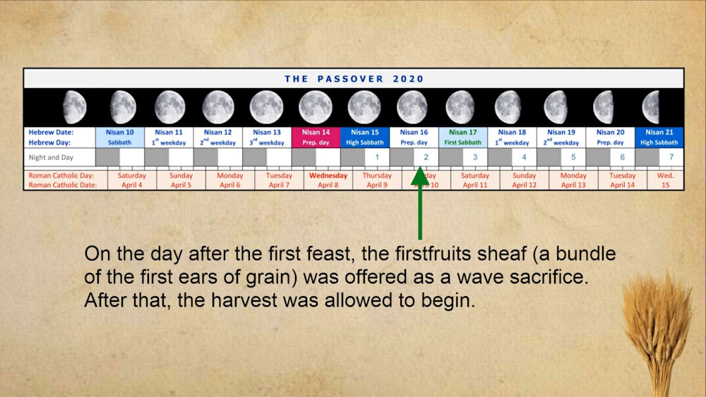 “First Fruits” is not a Feast (High Sabbath) - Structure Bible Menorah ...