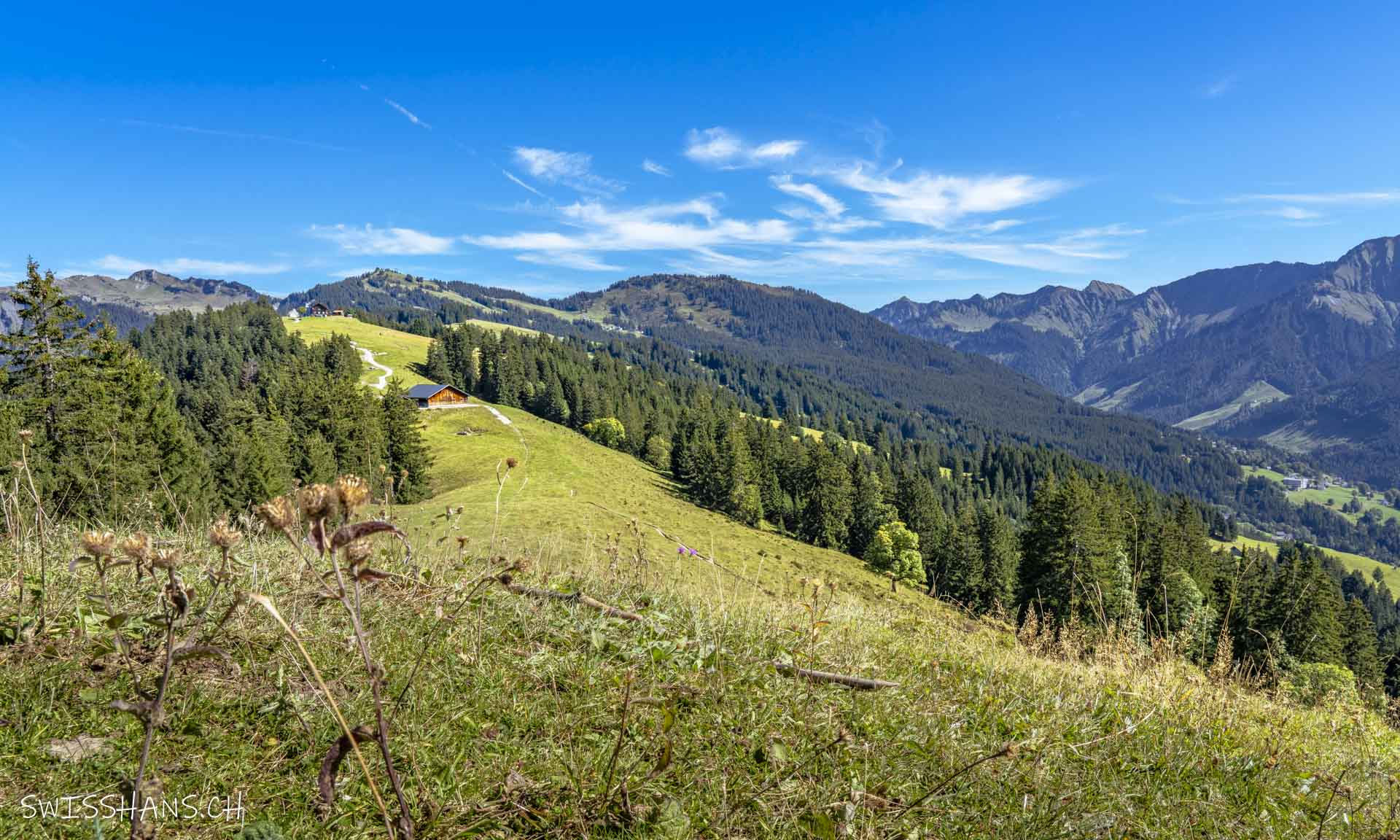 Rundwanderung Furx - Alpwegkopf - UNSER RHEINTAL ENTDECKEN