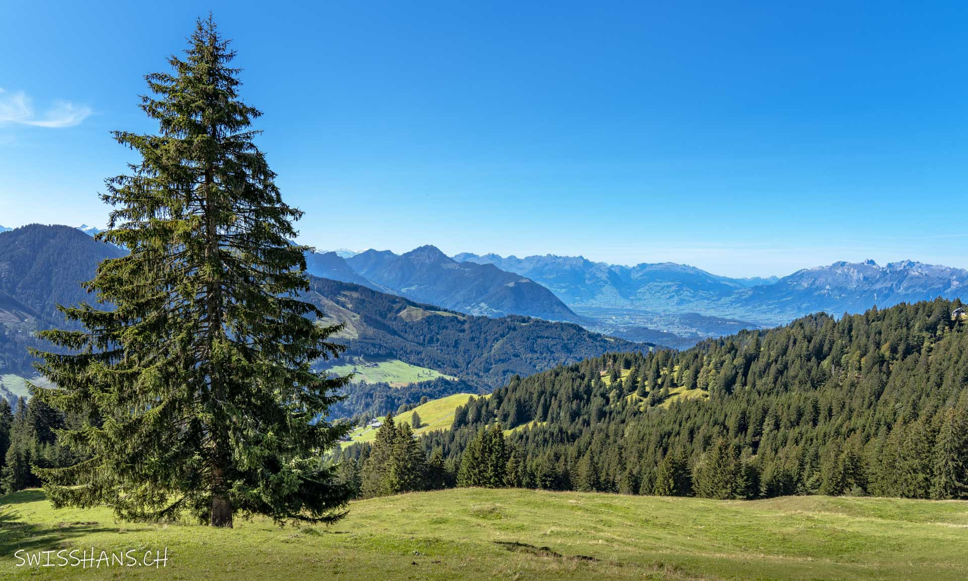 Rundwanderung Furx - Alpwegkopf - UNSER RHEINTAL ENTDECKEN