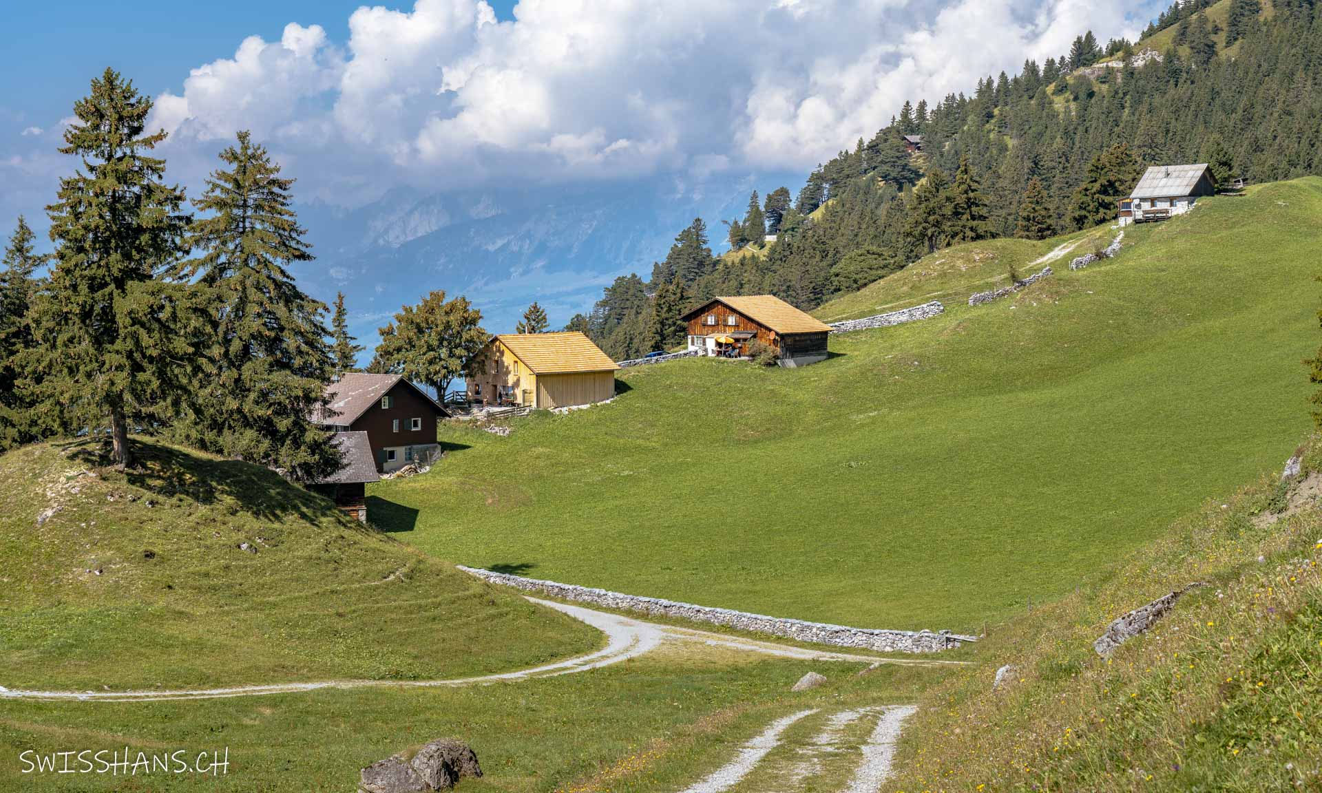 Rundwanderung Plattaspitz - UNSER RHEINTAL ENTDECKEN