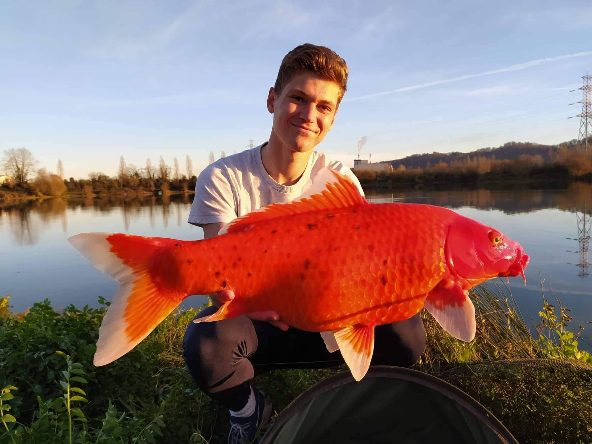 Pêche des carpes. Carpodrome. étang Run - IKTUS