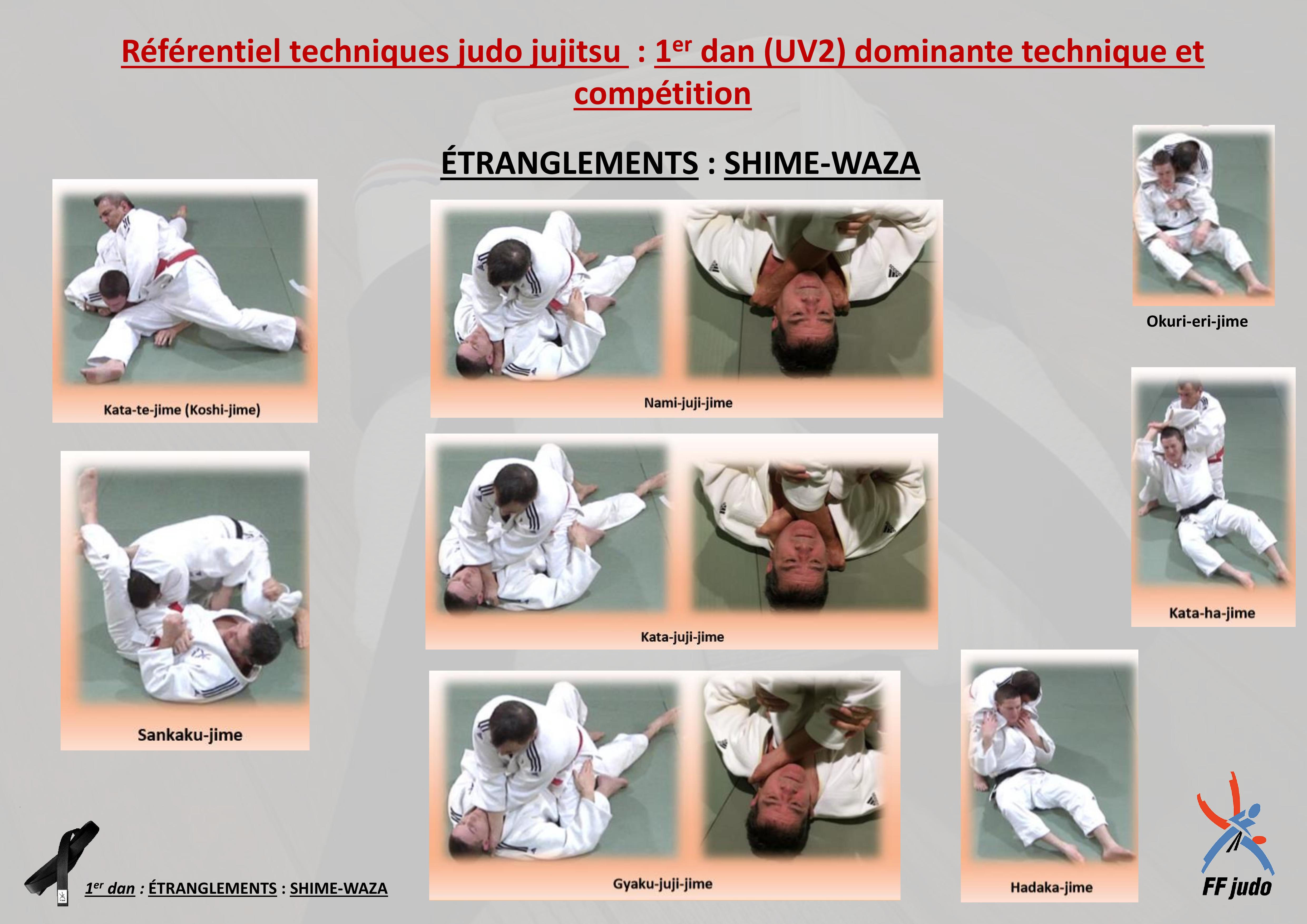 Ne-waza (travail au sol) - Dojo de la Sèvre