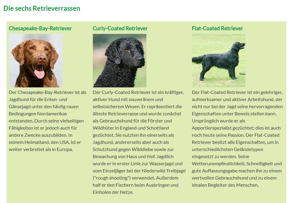 Wie Viele Retriever Rassen Gibt Es