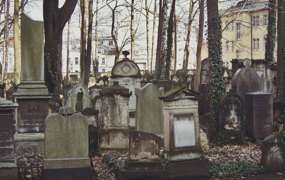 THE OLD JEWISH CEMETERY DRESDEN - mazewas Webseite!