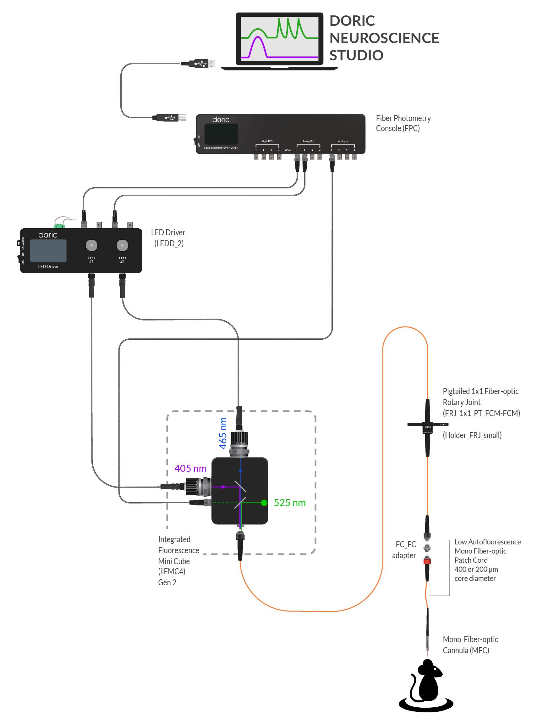 Doric社製 ファイバーフォトメトリーシステム｜1か所計測 GCaMP等吸収点 ＋ GCaMP蛍光励起 - ｜optogenetics.jp ...
