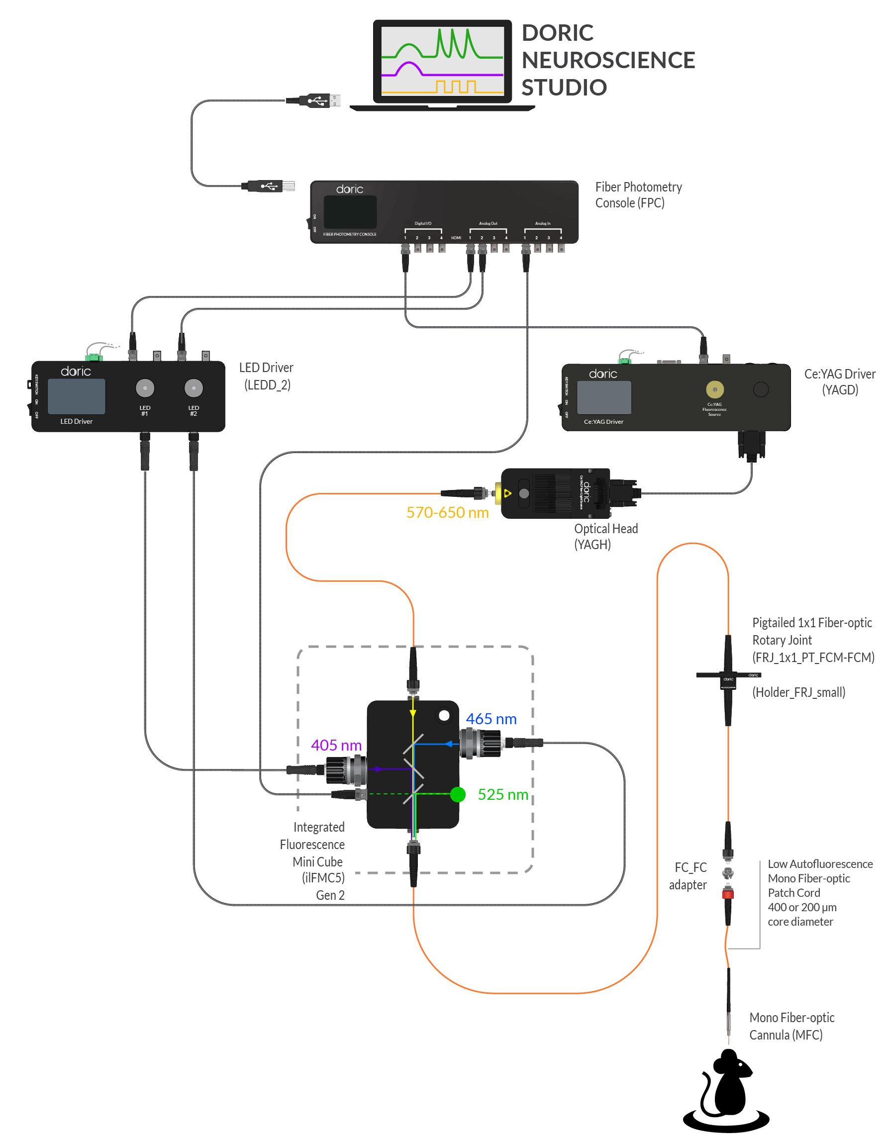 Doric社製 ファイバーフォトメトリーシステム｜1か所計測 GFP ＋ RFP - ｜optogenetics.jp｜ファイバーフォトメトリ ...
