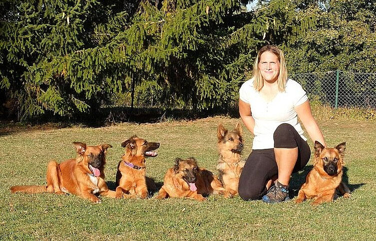 Harzer Fuchs Zucht - harzer-fuechse Webseite!