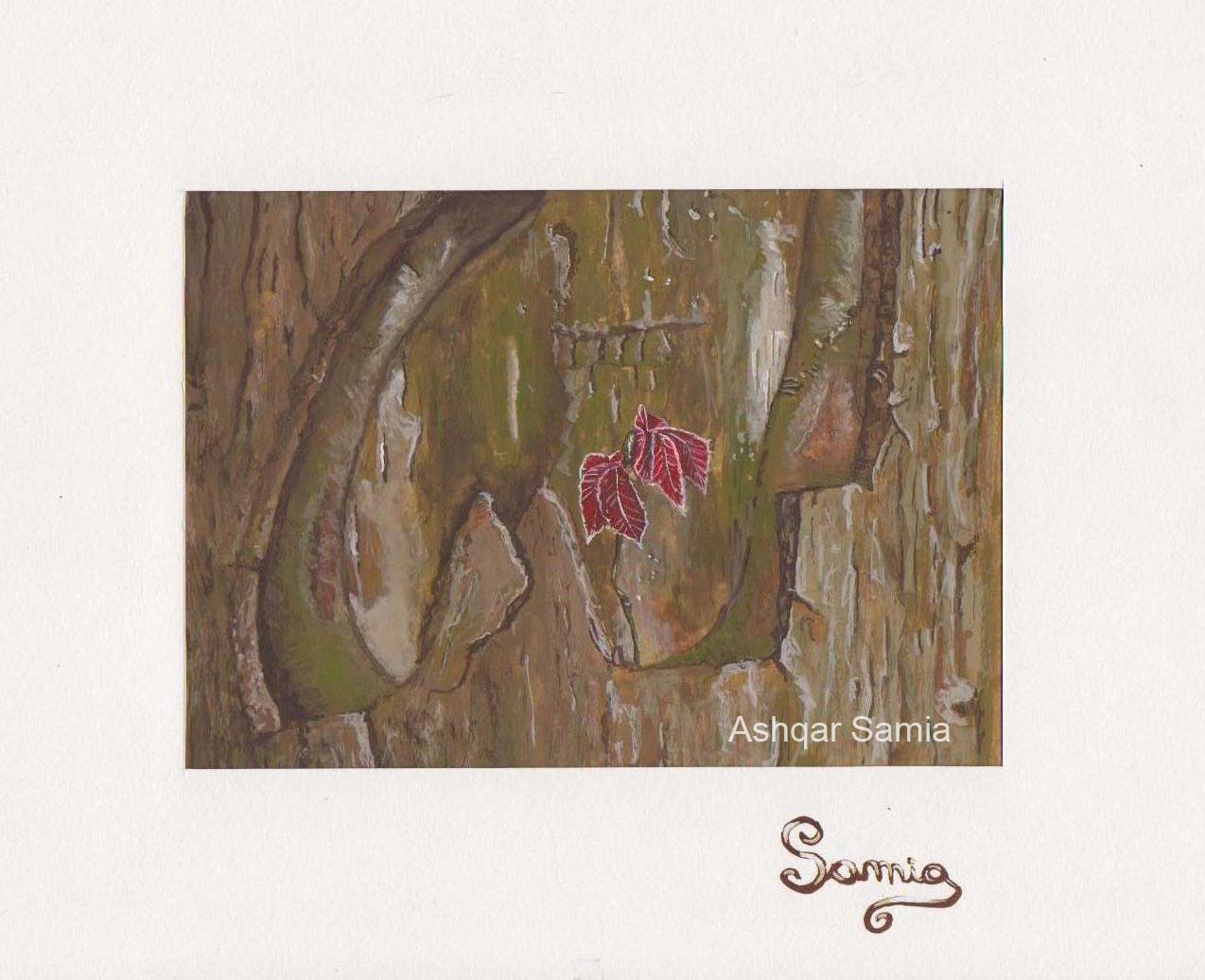 Illustration - Site de ash-samia