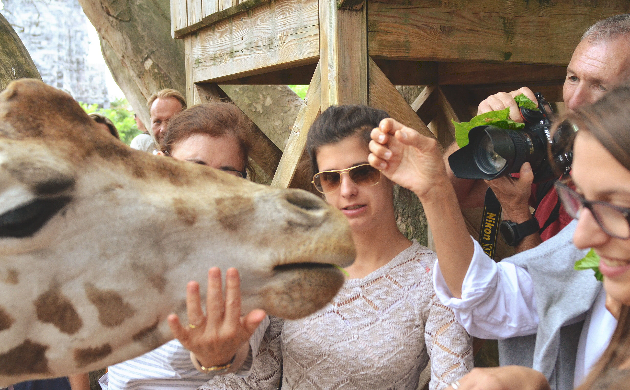 LEUR JOB : VOUS NOURRIR - nouveaublogdeluc