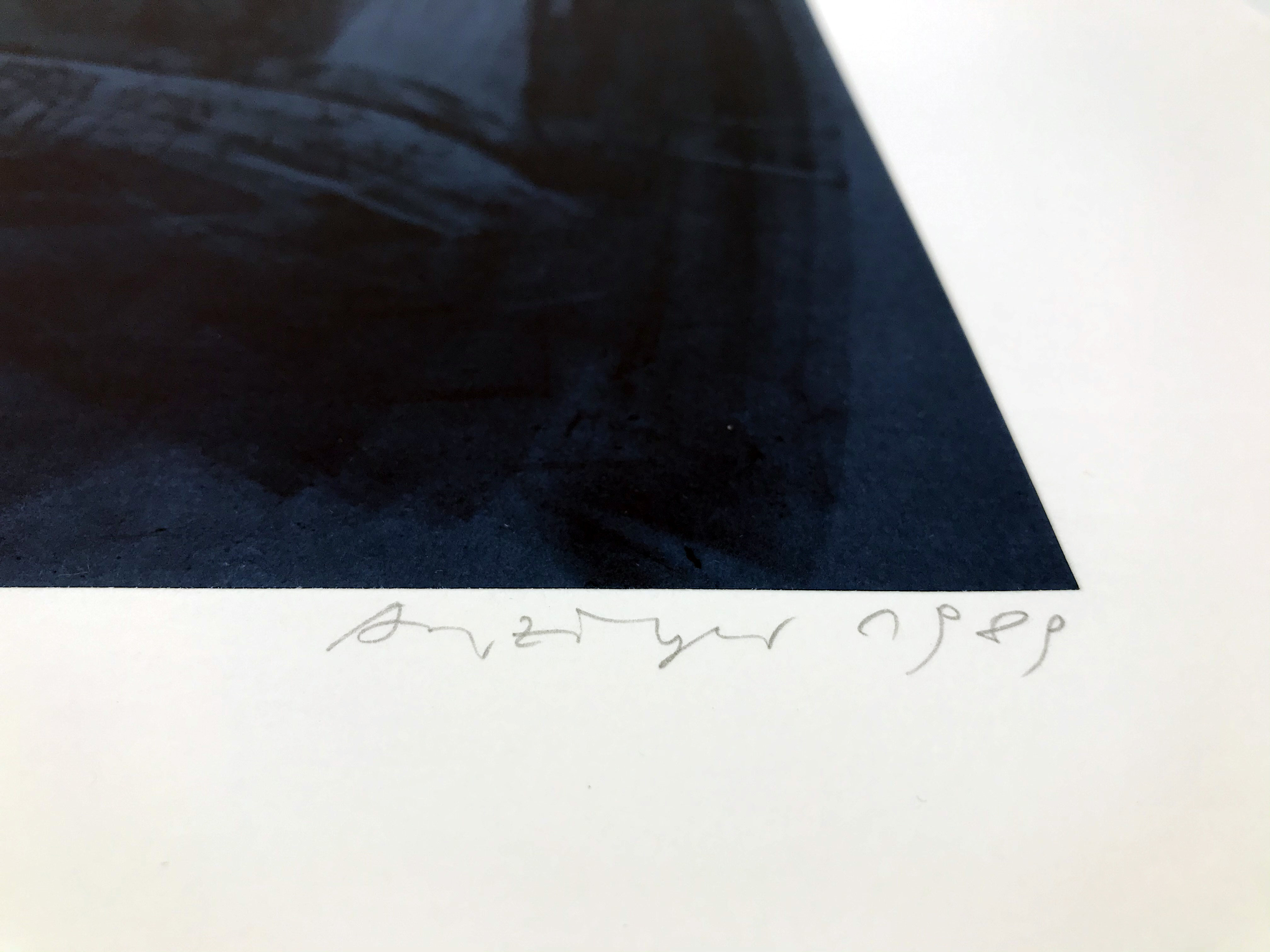 Siegfried Anzinger Kunst Edition - Kunst, Edition, Poster Shop Wien ...