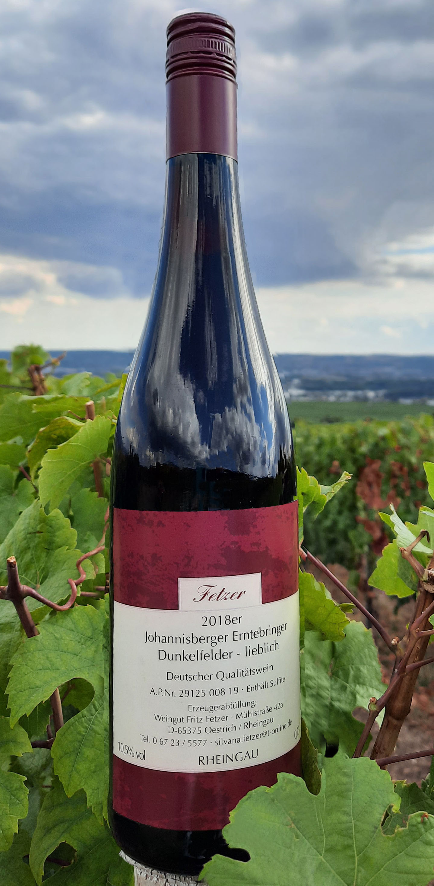 Riesling und spätburgunder aus dem weingut fritz fetzer - Weingut Fritz ...