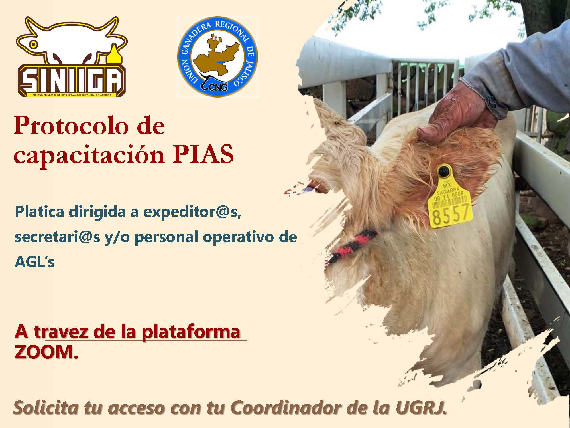 PRODUCTOR IDENTIFICADOR AUTORIZADO - VENTANILLA AUTORIZADA SINIIGA JALISCO