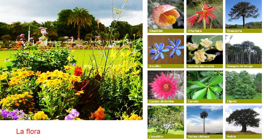 CIENCIAS NATURALES - Página web de ieccolon