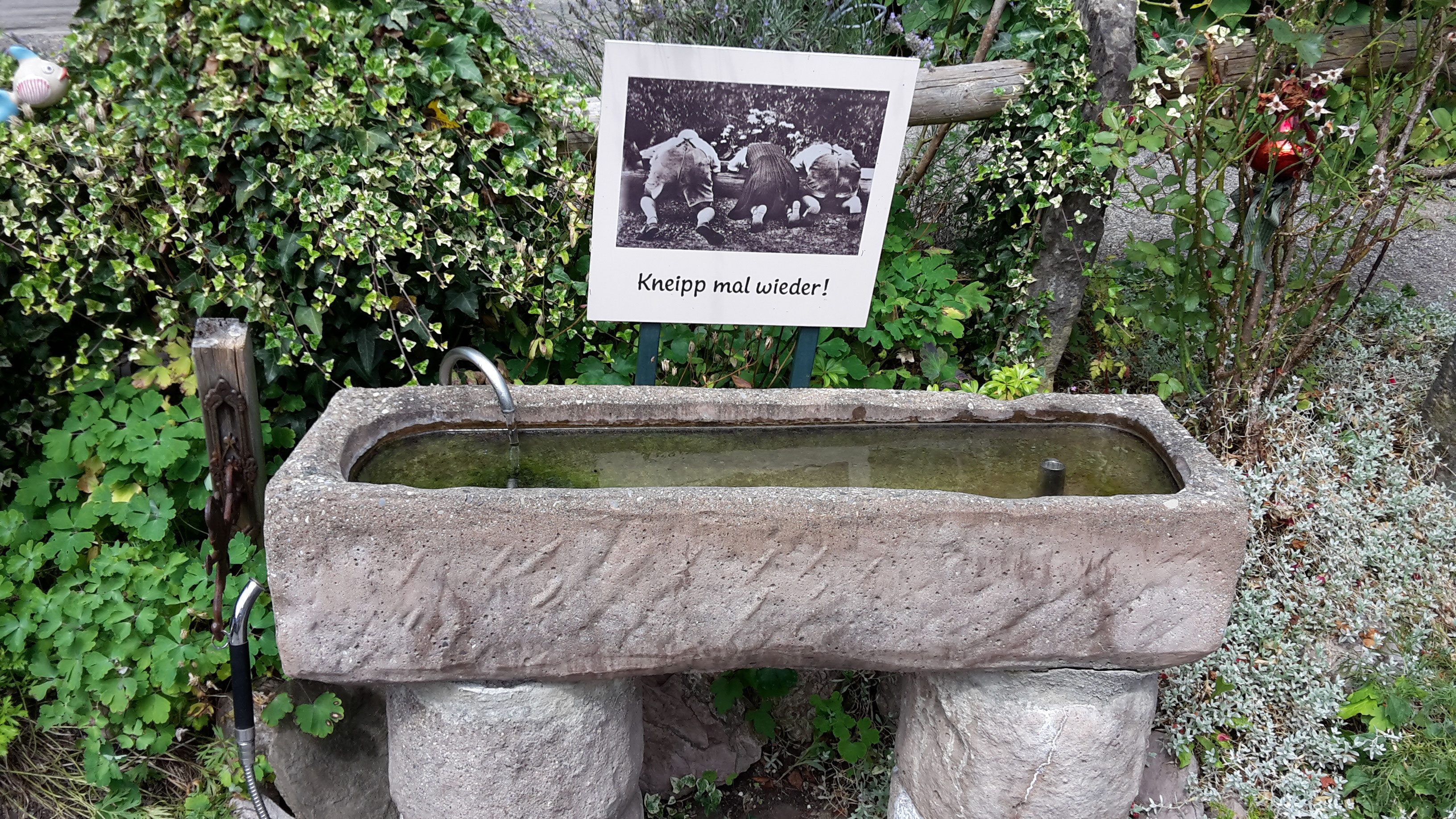 Wassertretbecken und Kneippanlagen finden und entdecken ...
