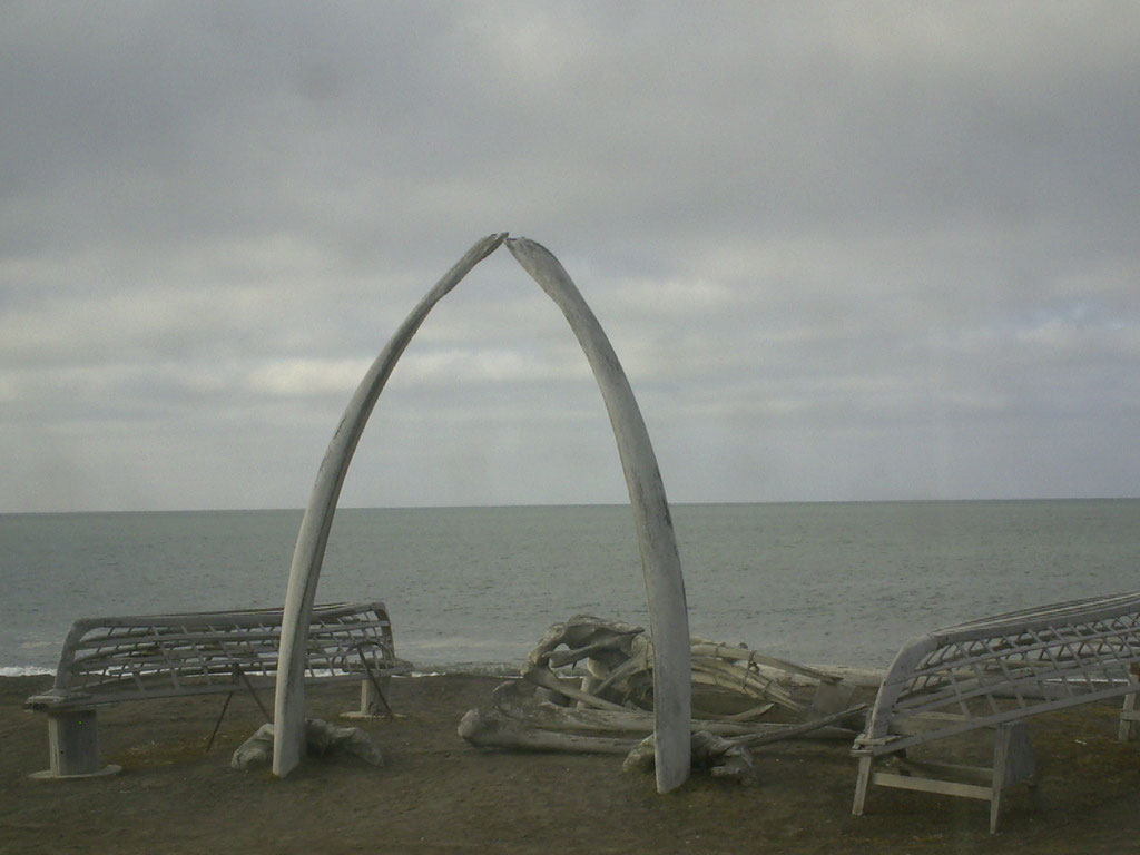 The Longest Walk - George Meegan's Website