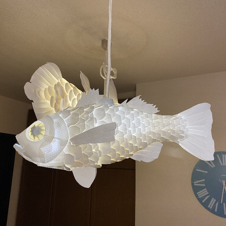 Nodoguro (Rosy seabass) LED - paper coelacanth （ペーパー シーラカンス LED）