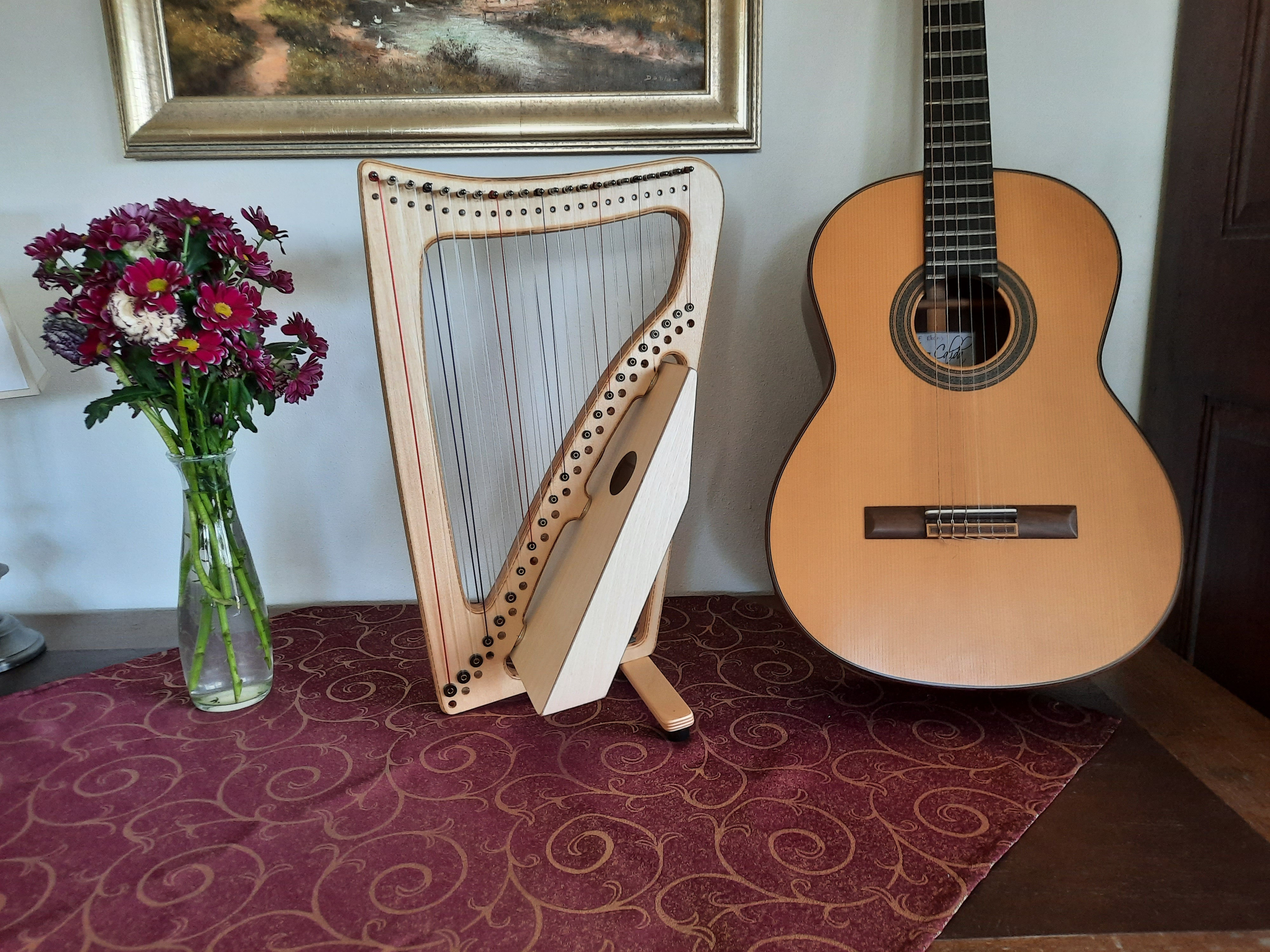 Very Small Lap Harp: Mini Luna 2x22 - Electric Harp and Travel Harp