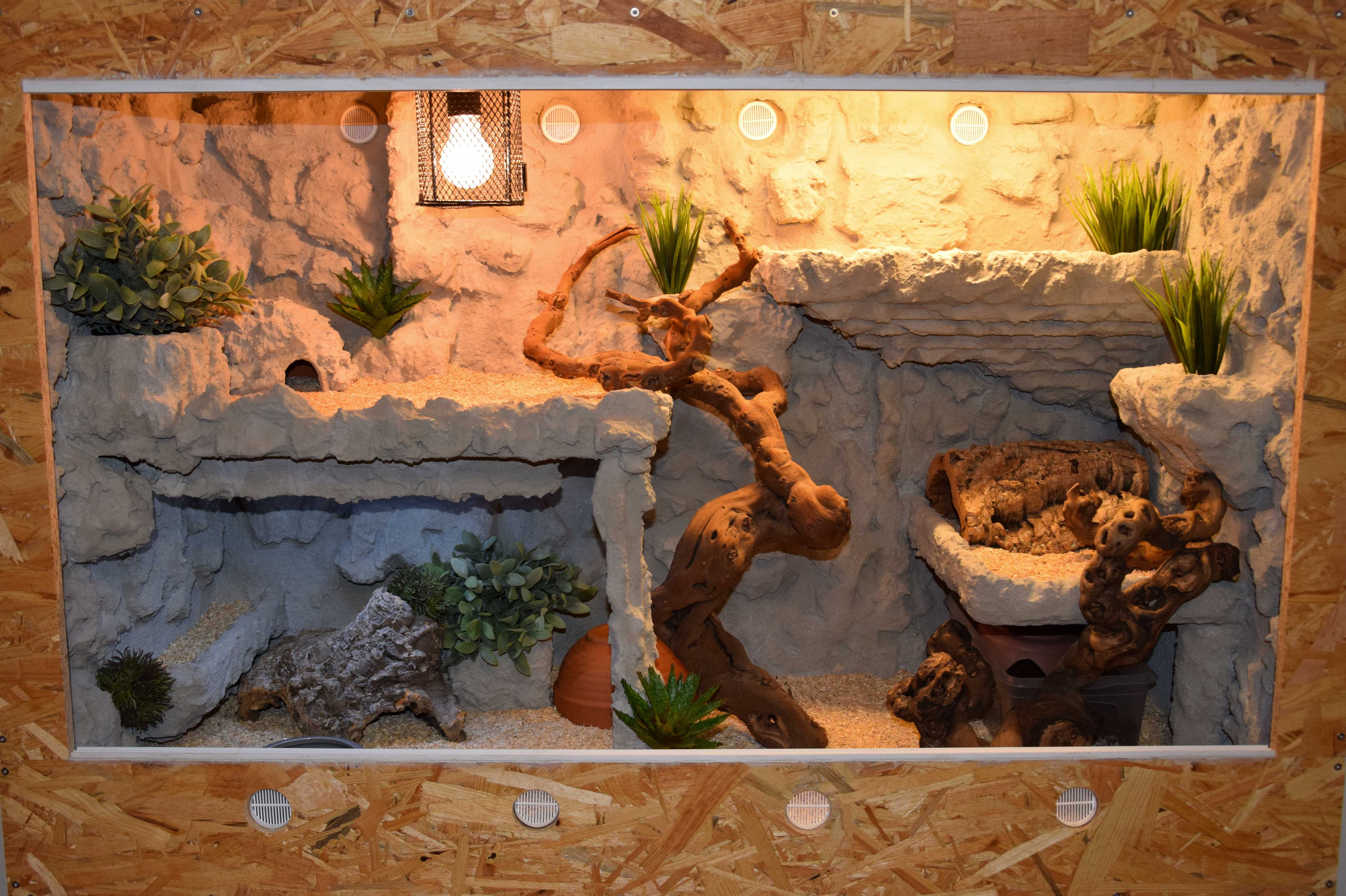 Unterbringung von Königspythons: Terrarien- oder Rackhaltung? - HaZe ...