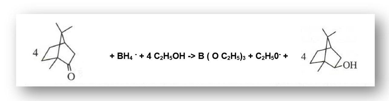 Synthèse de l'isobornéol - Site Ellasciences de Sciences physiques du ...