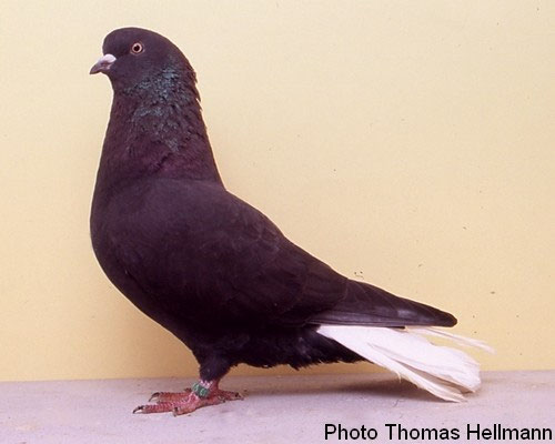 EE n° 1024 - Karakand - Club CACHE