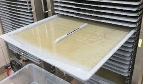 Mosquito Larvae Mass Rearing Trays - Vienna Scientific