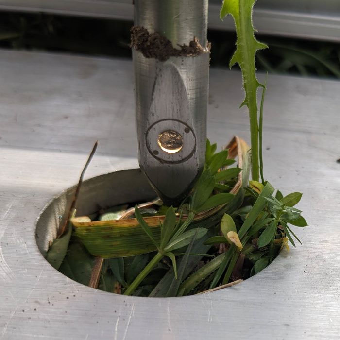 PHENET - Push Down Root Imaging Sensor - Vienna Scientific