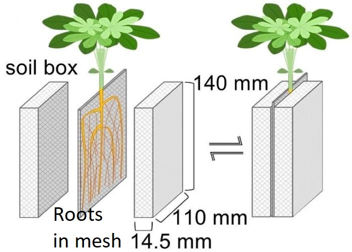 Root & Rhizosphere Monitoring - Rhizobox - Vienna Scientific