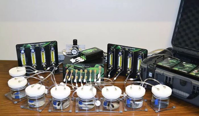 Aquatic Animal Respirometry - Vienna Scientific