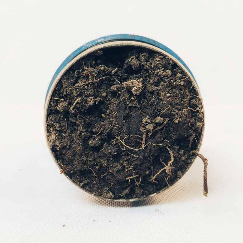 Soil Ring Sampler - Vienna Scientific