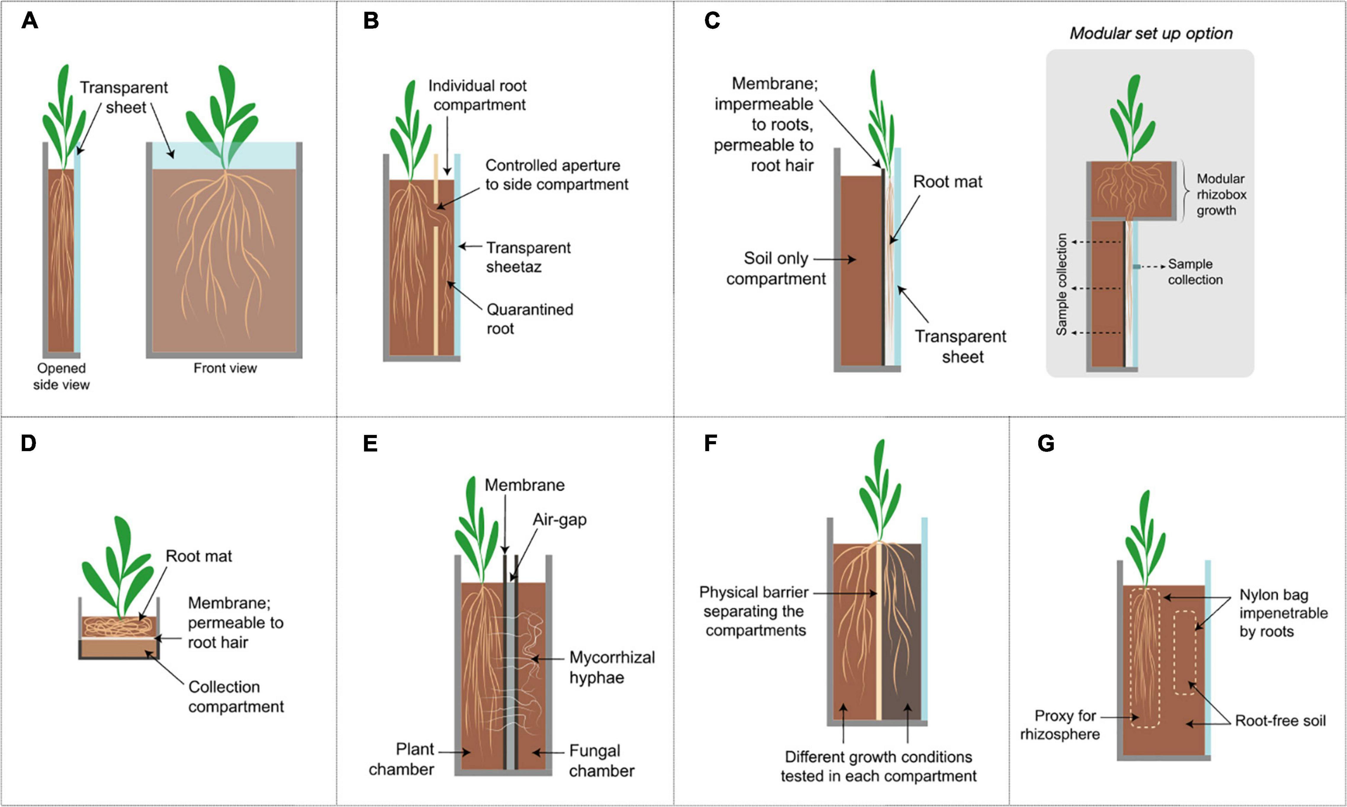 Root & Rhizosphere Monitoring - Rhizobox - Vienna Scientific