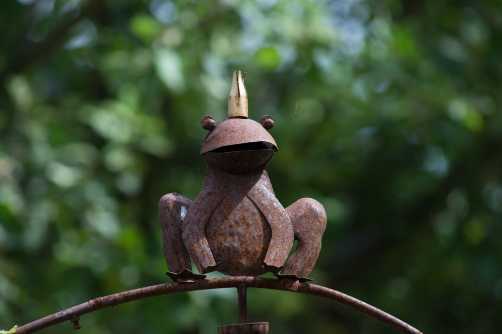 Leitz Telyt 560 mm 6.8 Leica R - thomas_hauth_fotos Webseite!