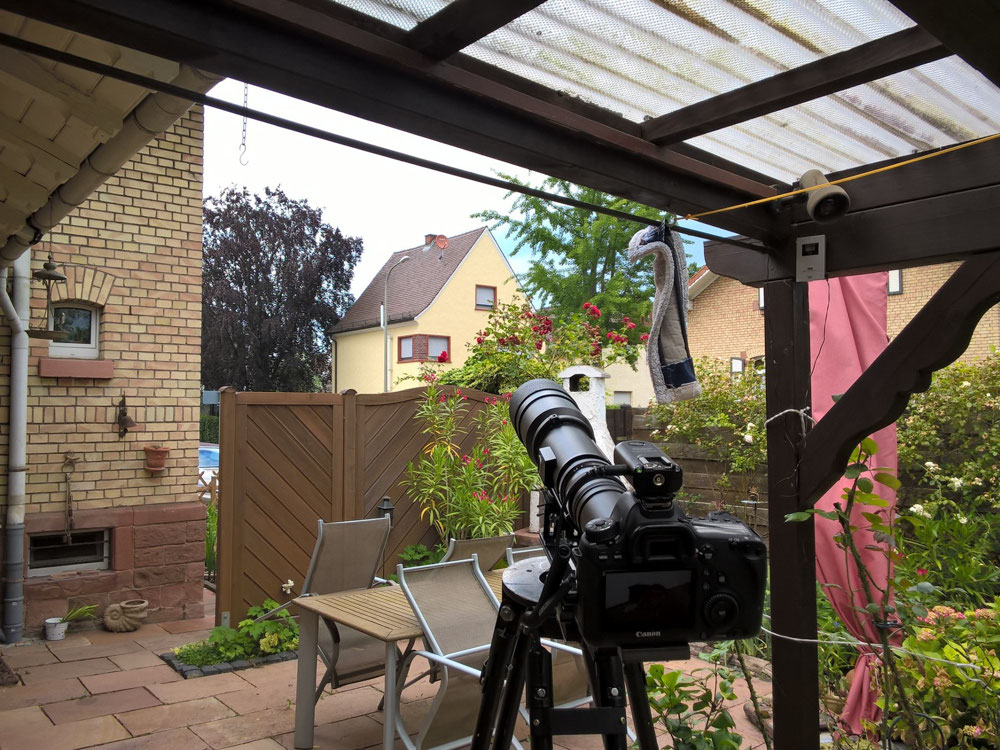 Leitz Telyt 560 mm 6.8 Leica R - thomas_hauth_fotos Webseite!