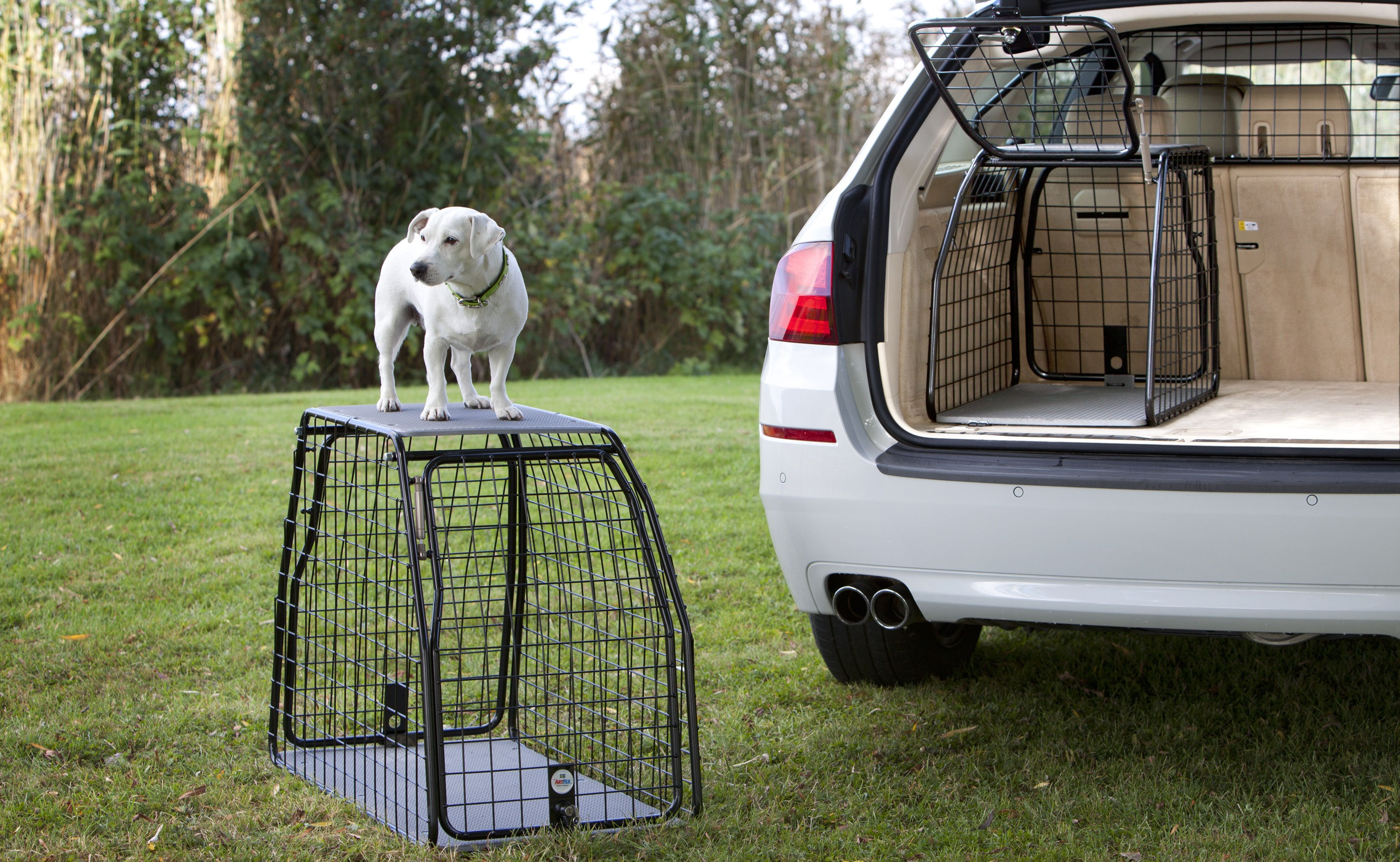 Hundetransportboxen - Hund im Auto