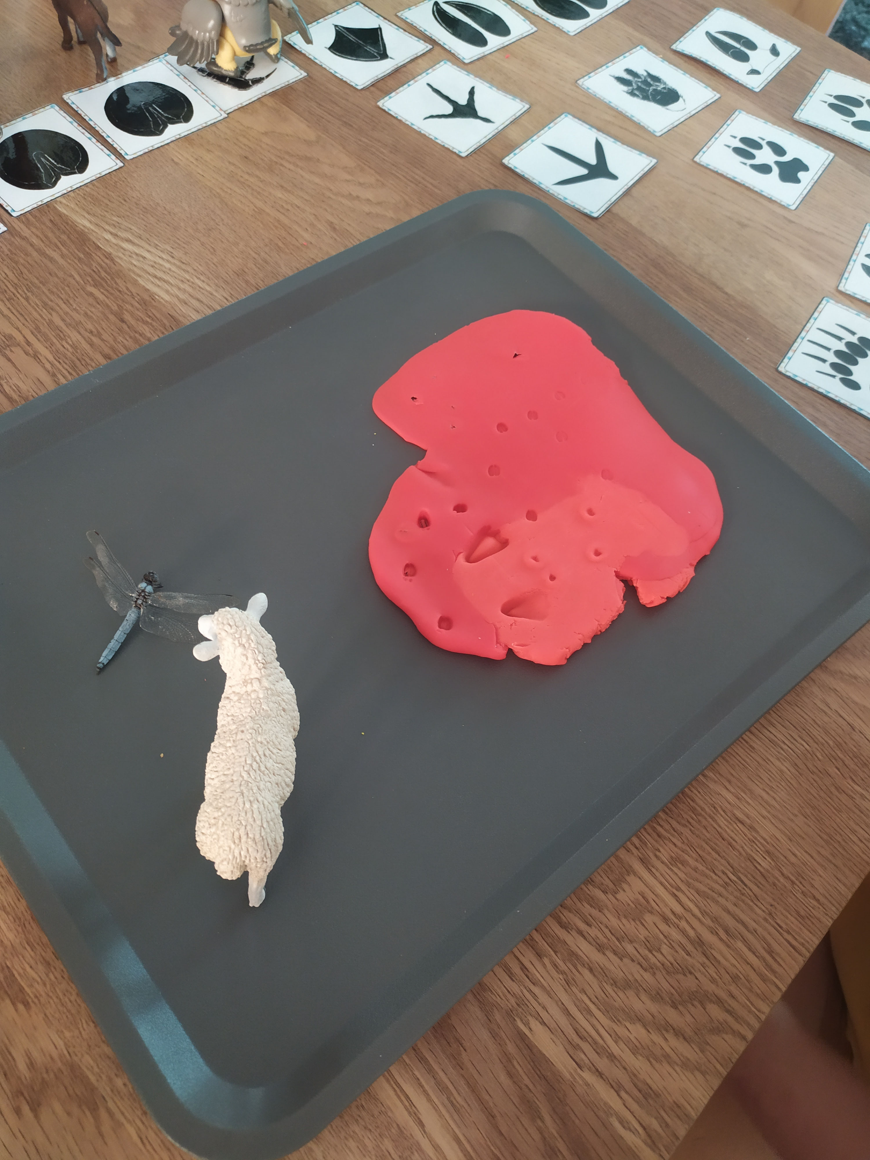les empreintes d'animaux - Fiches de prep (cycle1-cycle 2-ULIS-Rased)