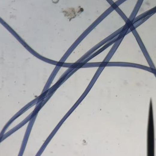 LES FIBRES - Site de tpe-methodesscientifiques