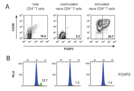 i.Mune® Treg [RUO] - EPIMUNE