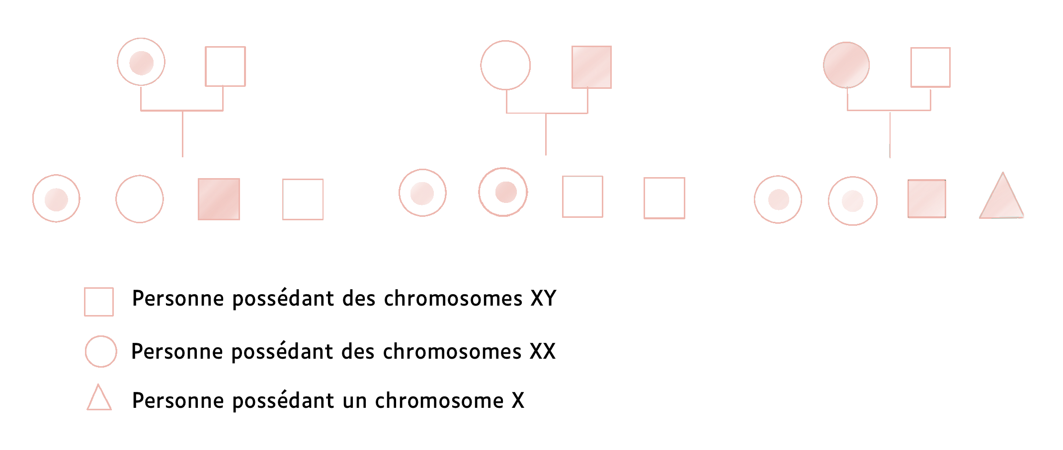 Daltonisme - Blog sur l'oeil