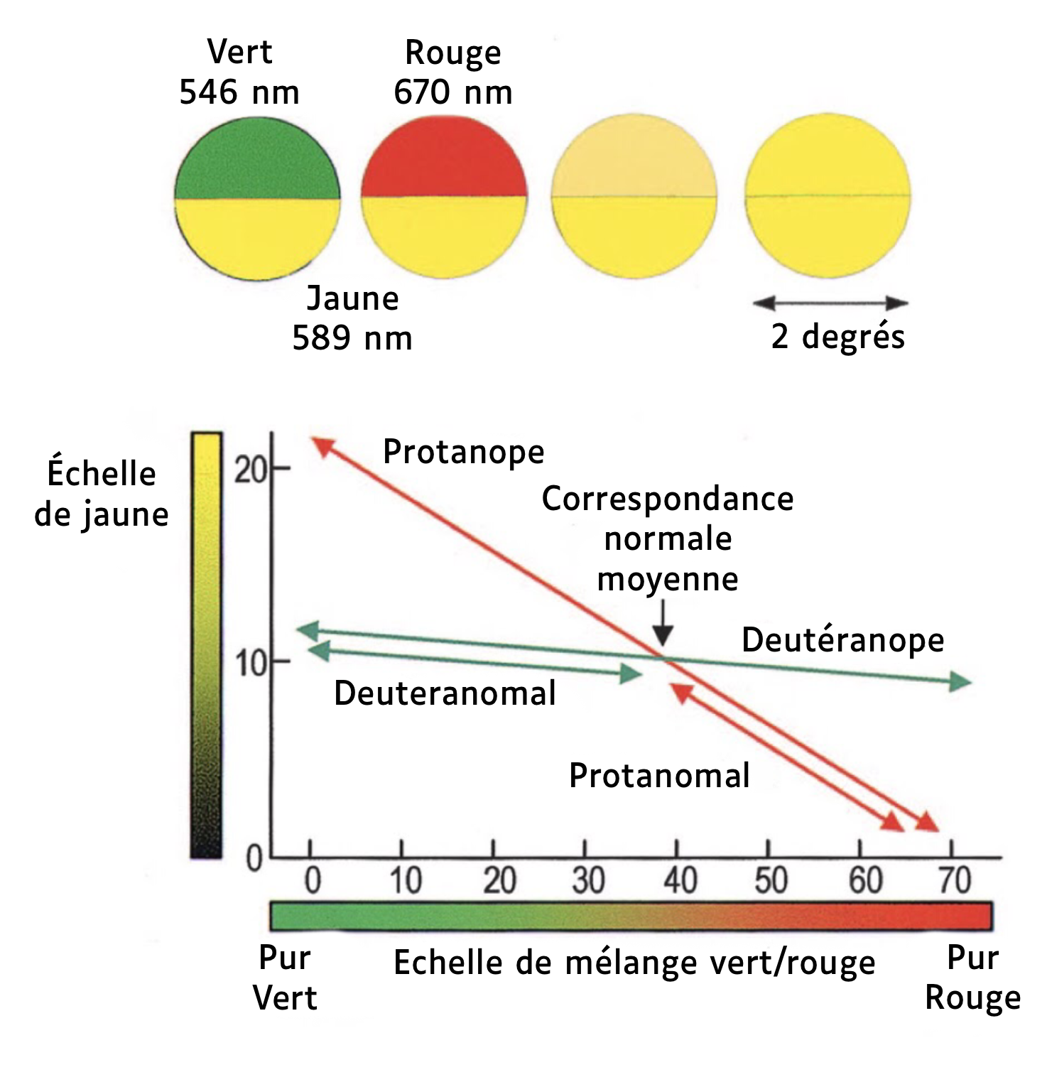 Daltonisme - Blog sur l'oeil
