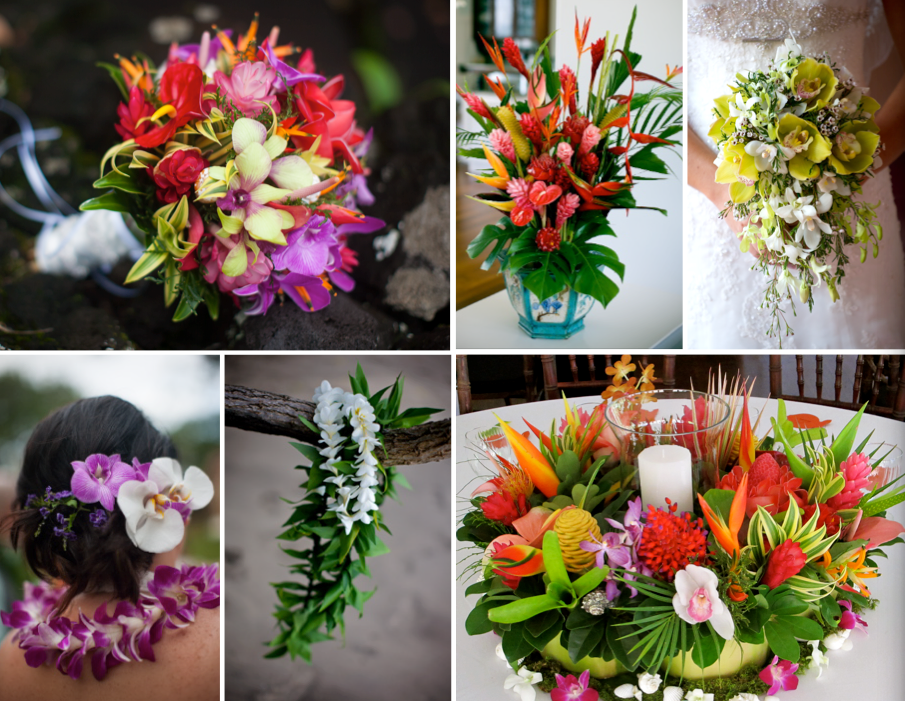 Hala Tropicals located in the heart of Hana Maui. - Website of ...