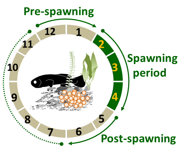 Selected topics - Ecology & Machine Learning