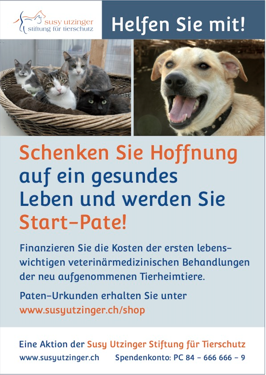 Badi Egelsee offen, aber Wasser zum Schlottern... - buebikernews