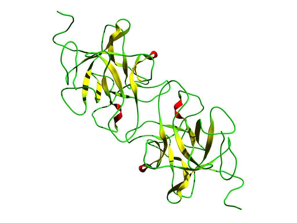 Über die Wunderbeere - Fruudoo | Wunderbeeren | Tabletten