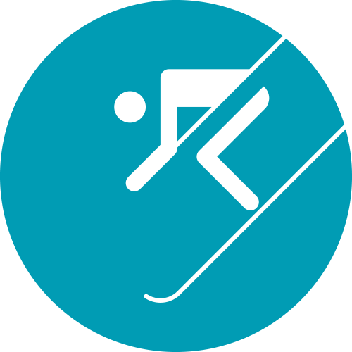 Calgary 1988: Sports Pictograms - theolympicdesign – Olympic Design ...