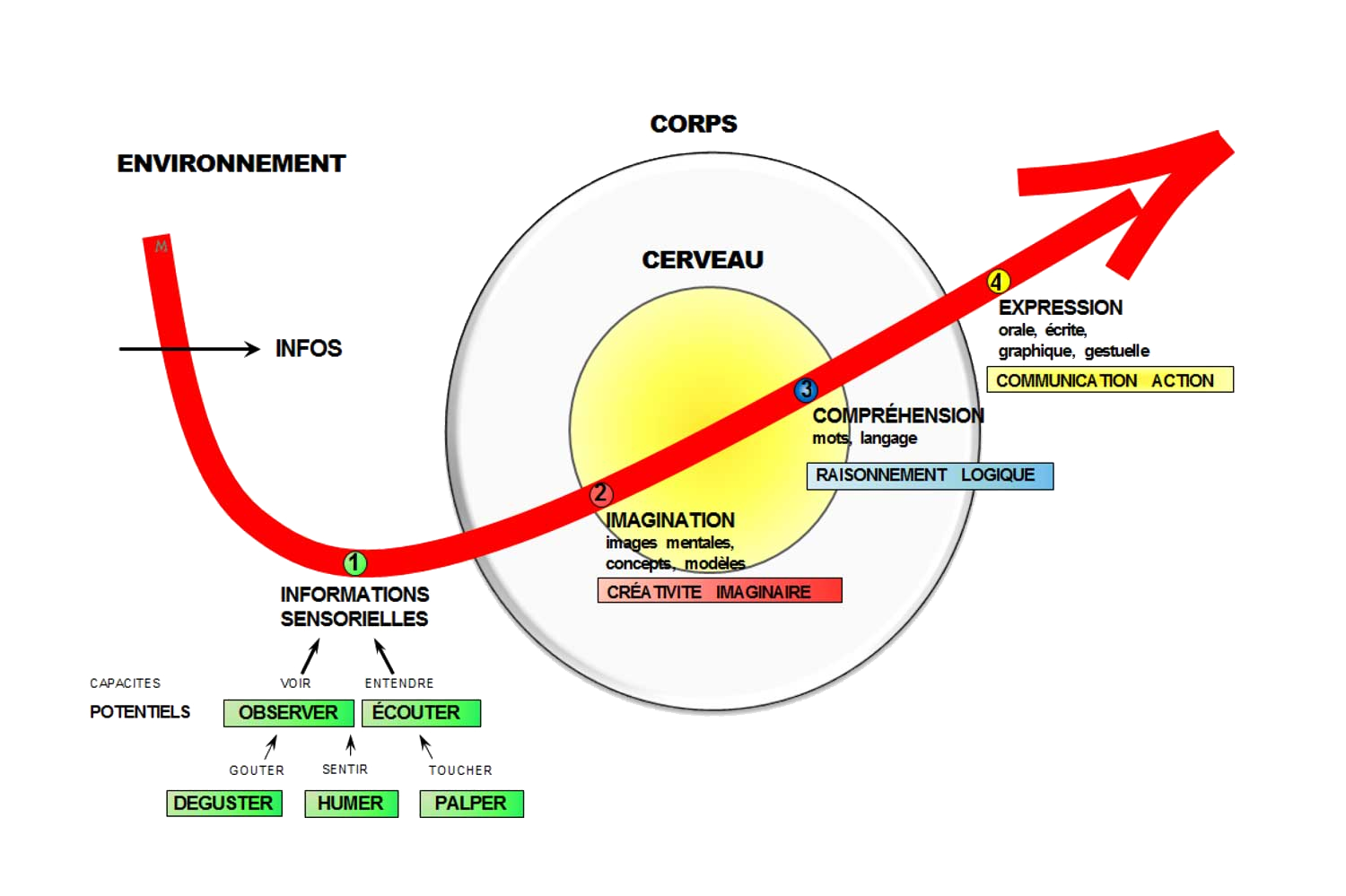 Nos valeurs - Profils & Potentiels : Découverte et valorisation des ...