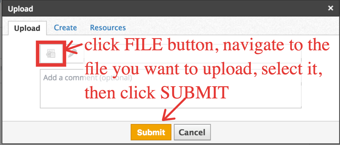 Ngpf Activity Bank Taxes Completing A 1040 Answer Key - Https Www ...
