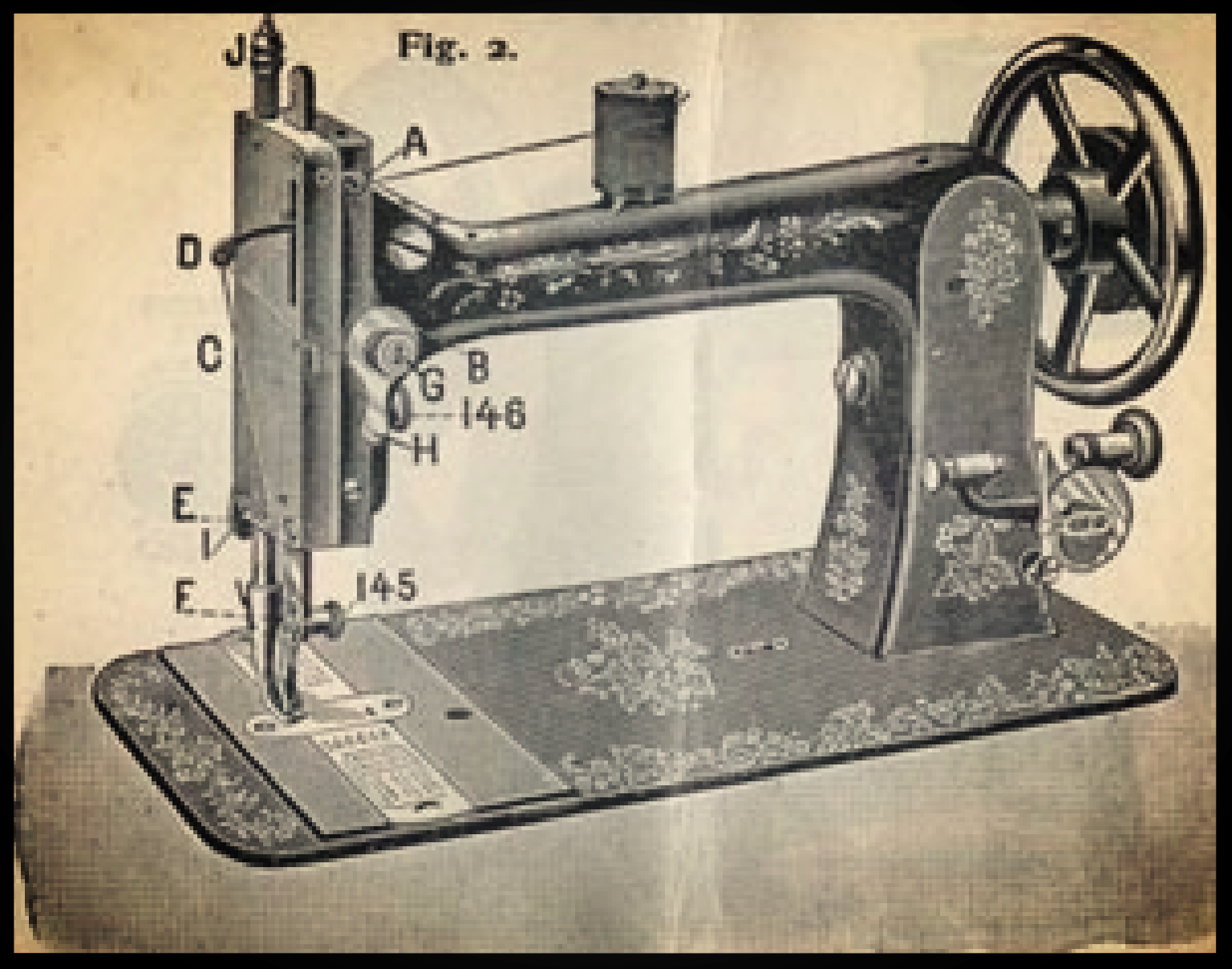 Davis by Models - Fiddlebase